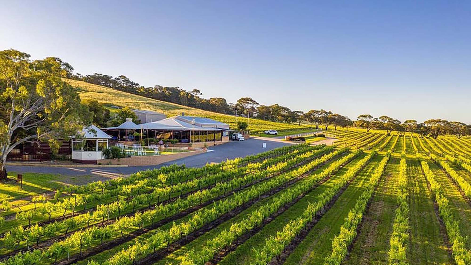 The Best of South Australia - Tour Highlights | Holidays of Australia ...