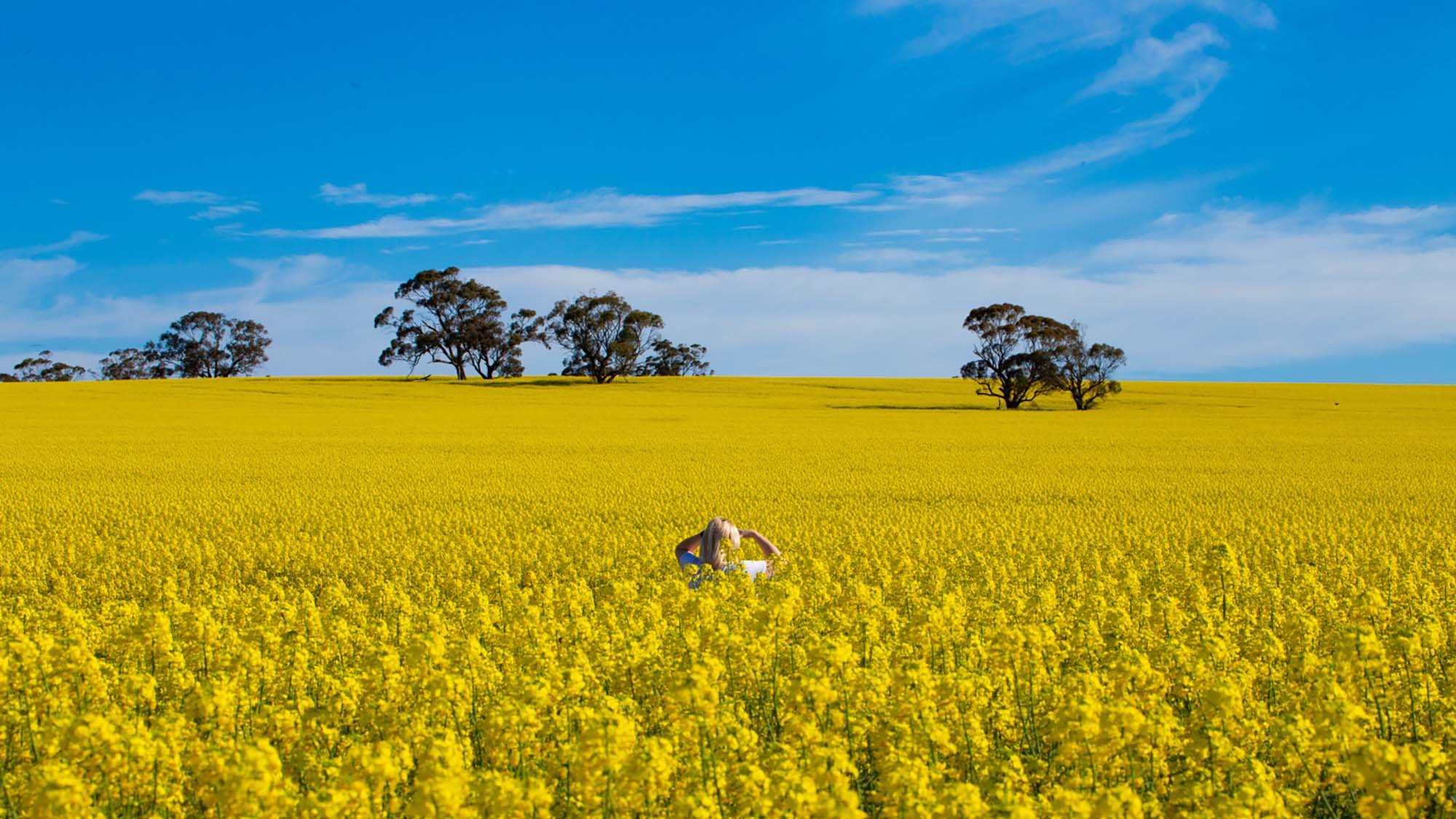 The best of South Australia by season | Holidays of Australia & the ...