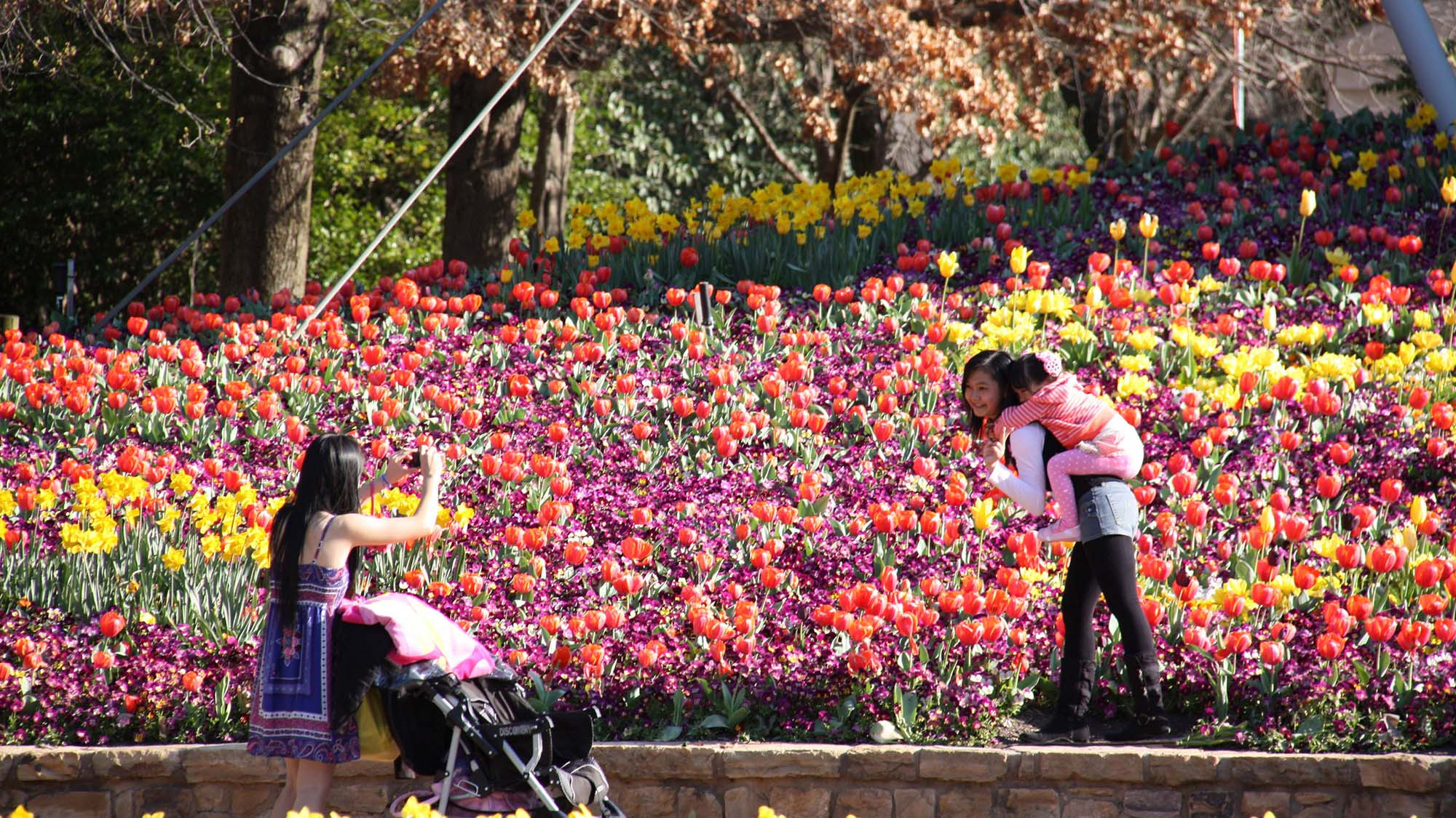 Floriade - A blooming time in Canberra | Holidays of Australia & the ...