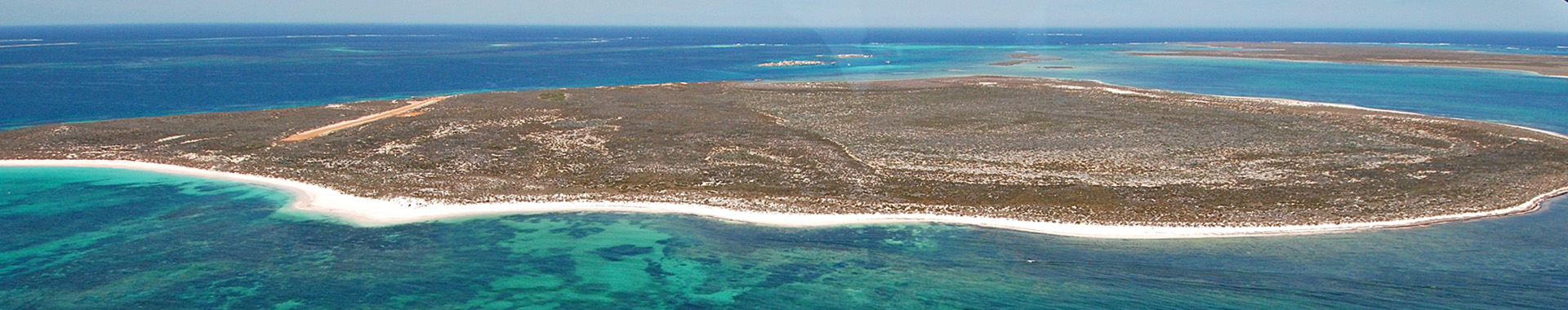 Discover the Enchanting Abrolhos Islands: Nature's Haven Off Western ...