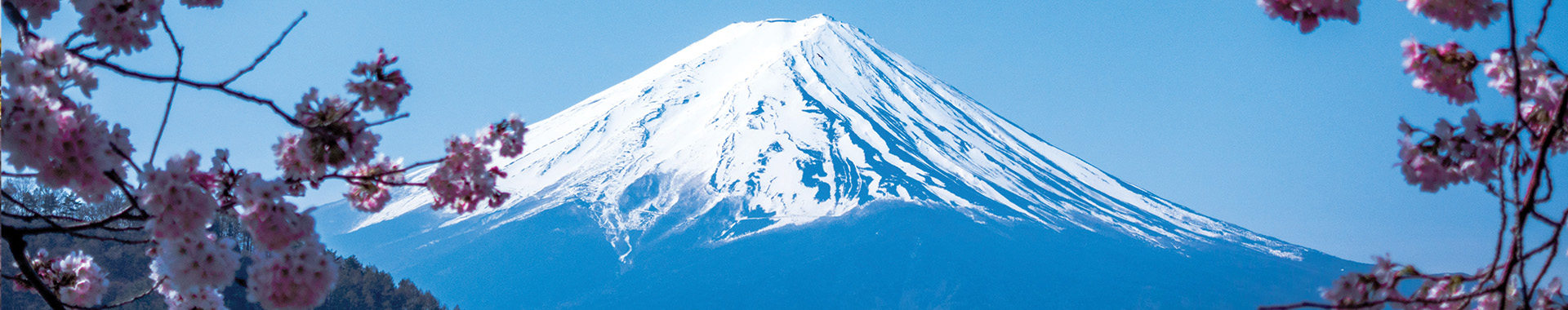 The Best Cultural Experiences in Japan | Holidays of Australia & the ...